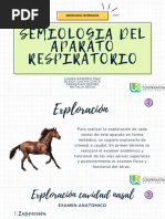 Anatomía y Fisiología de La Pata Del Caballo | PDF | Mano | Sistema ...