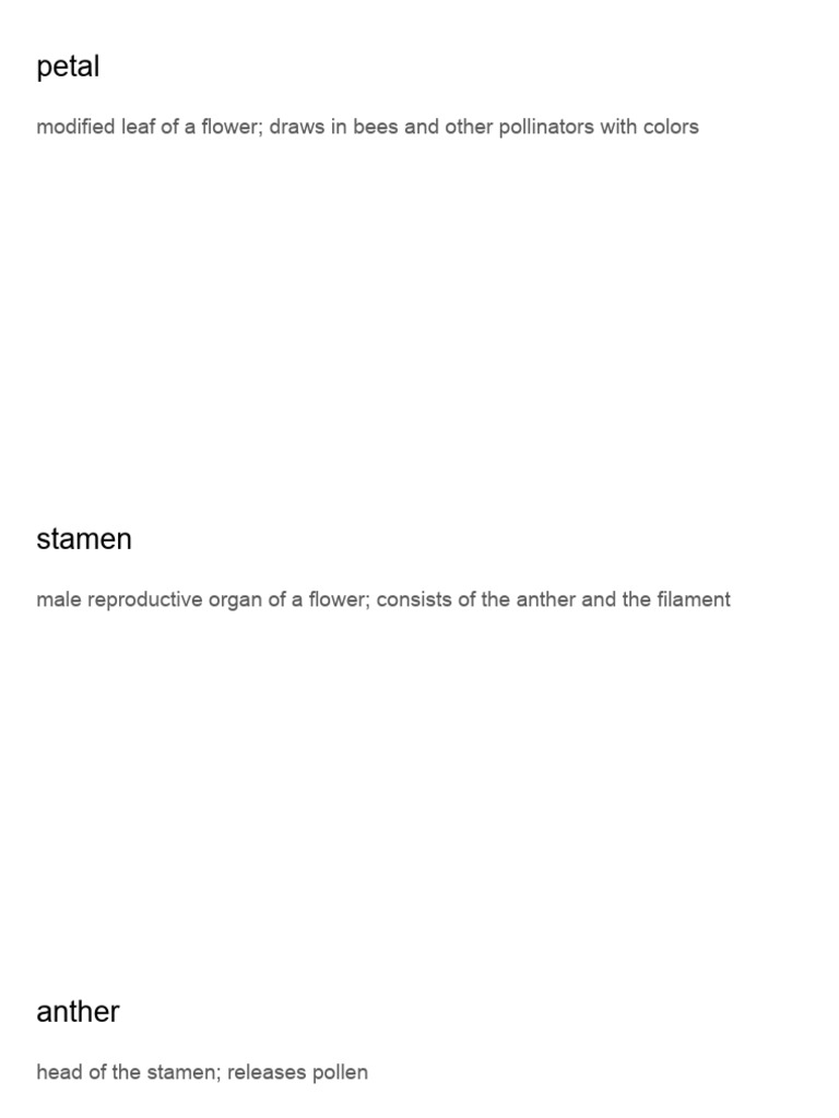 Basic Botany Flashcards | PDF | Flowers | Plants