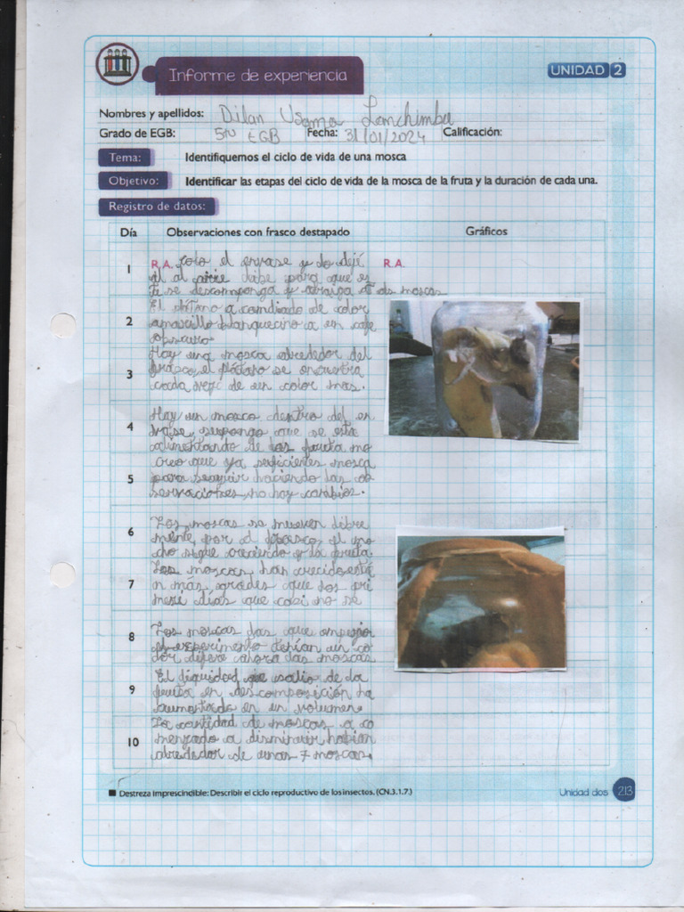 cn1 cn2 cn3 Merged | PDF