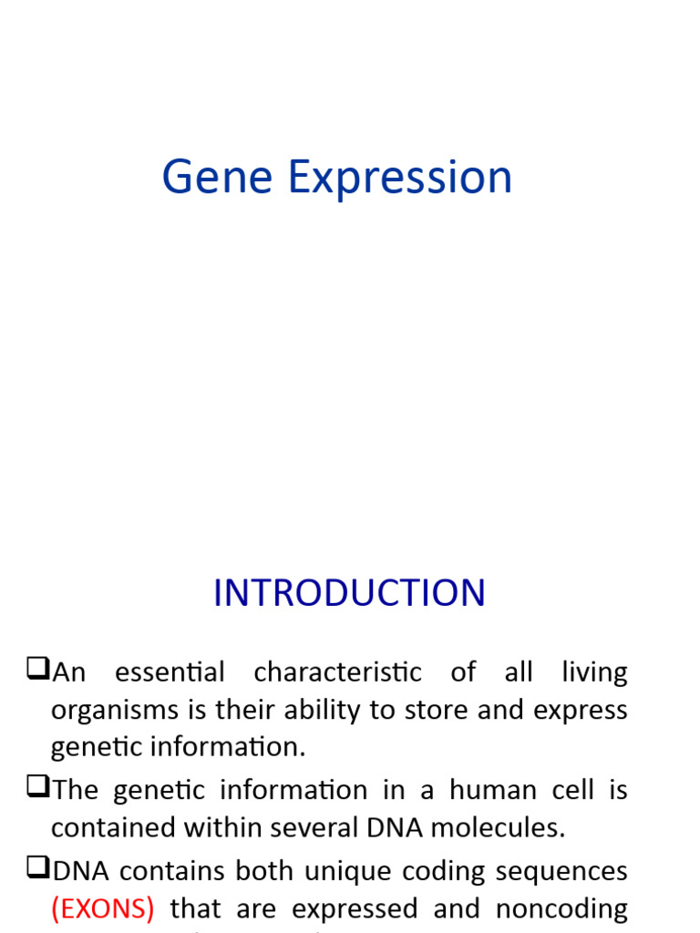 Gene Expression | PDF | Rna | Translation (Biology)