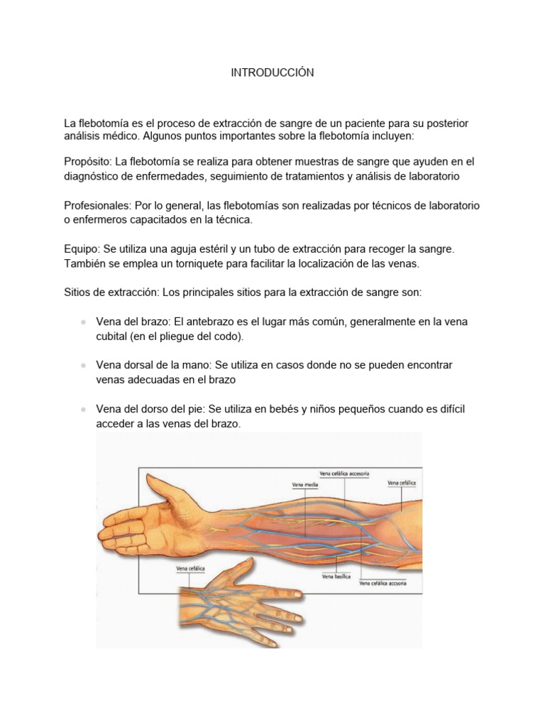 Guía Básica de Flebotomía | PDF | Sangre | Hematología