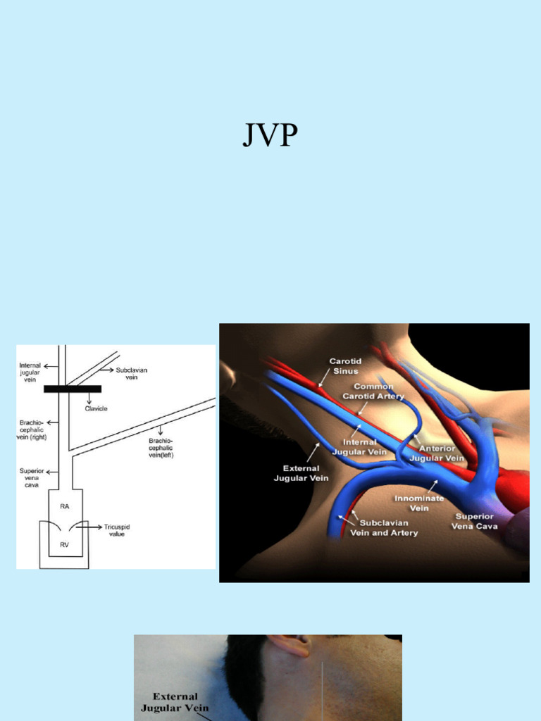 JVP - Jugular Venous Pressure | PDF | Atrium (Heart) | Heart
