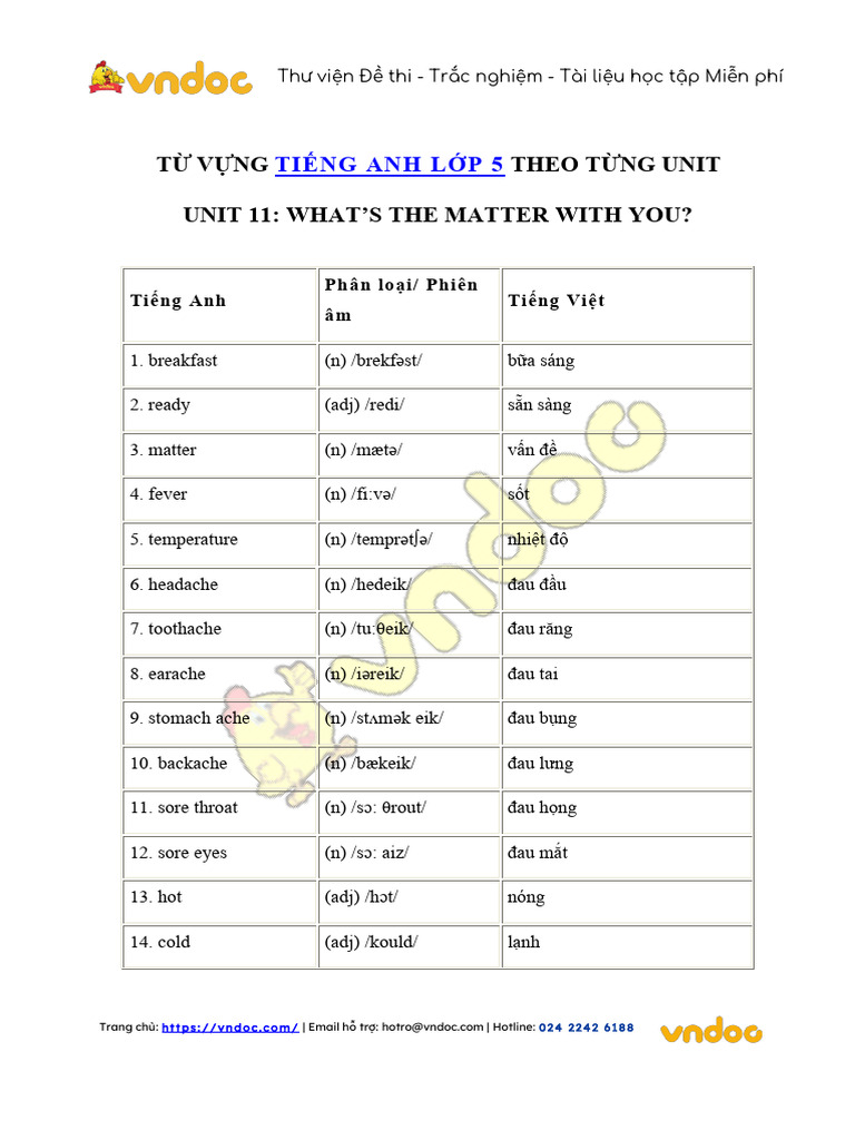 Tu Vung Tieng Anh Lop 5 Unit 11 What S The Matter With You | PDF