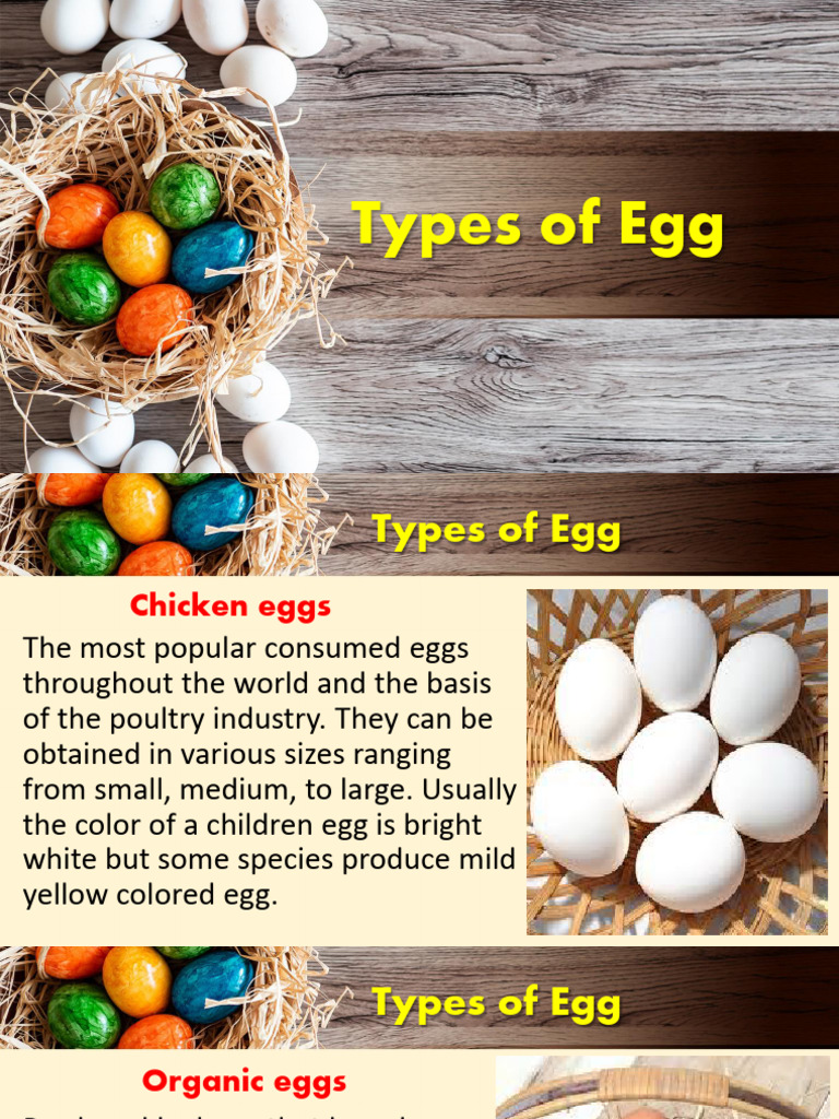 PDF Other Types of Egg | PDF | Egg As Food | Mayonnaise
