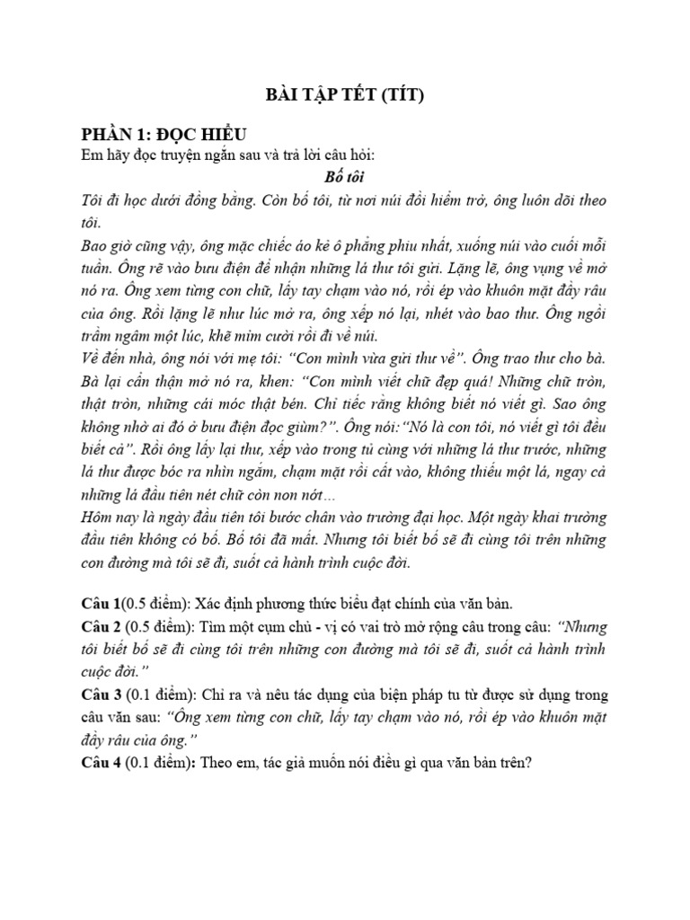 BÀI TẬP TẾT (Tít) | PDF