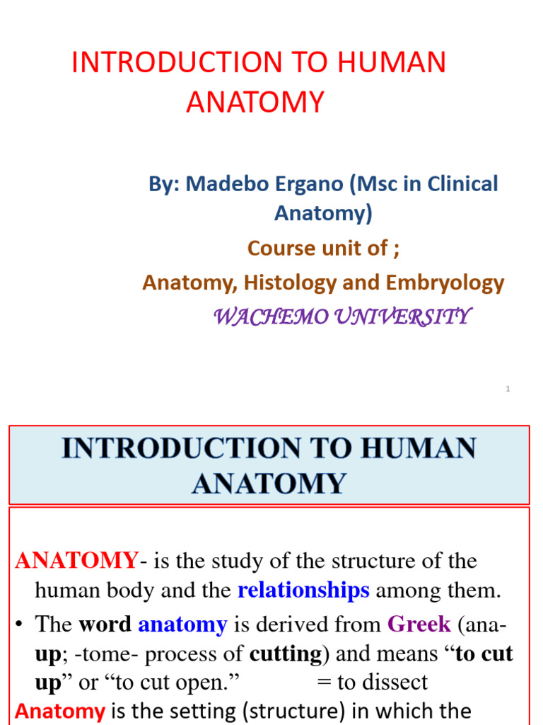 Introduction To Anatomy | Download Free PDF | Anatomical Terms Of ...