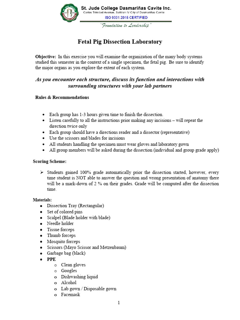 Fetal Pig Dissection Lab Guide | PDF | Heart | Gastrointestinal Tract