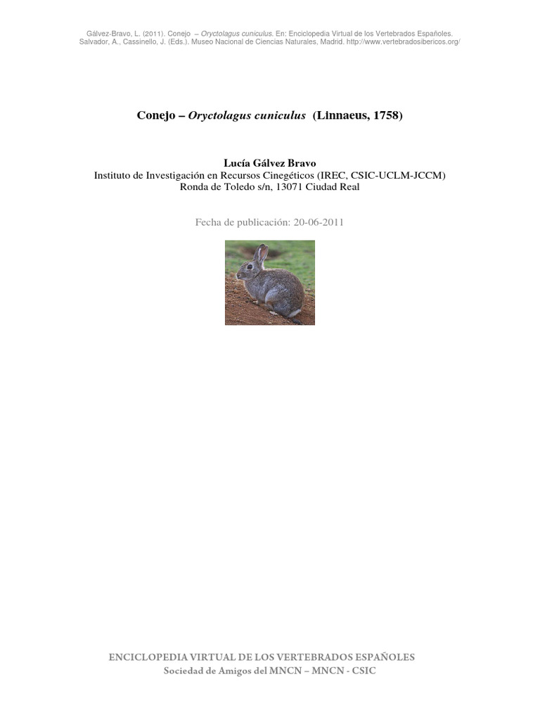 Conejos En La Naturaleza Informacion Pdf Depredación Reproducción
