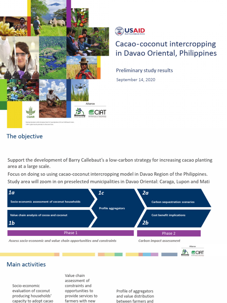 Cacao Coconut Production USAID | PDF | Cocoa Bean | Agriculture