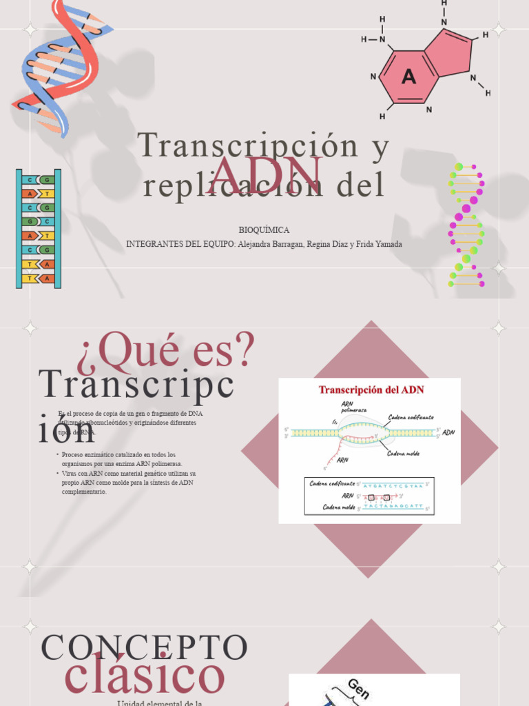 Transcripción y Traducción de ADN | PDF | Rna | Adn