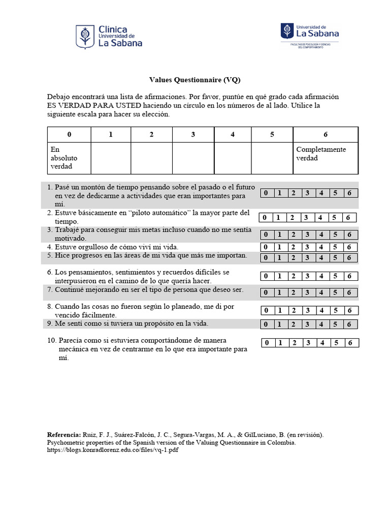Values Questionnaire (VQ) | PDF