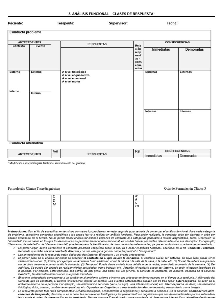 Ana - Lisis Funcional | PDF | Las emociones | Comportamiento