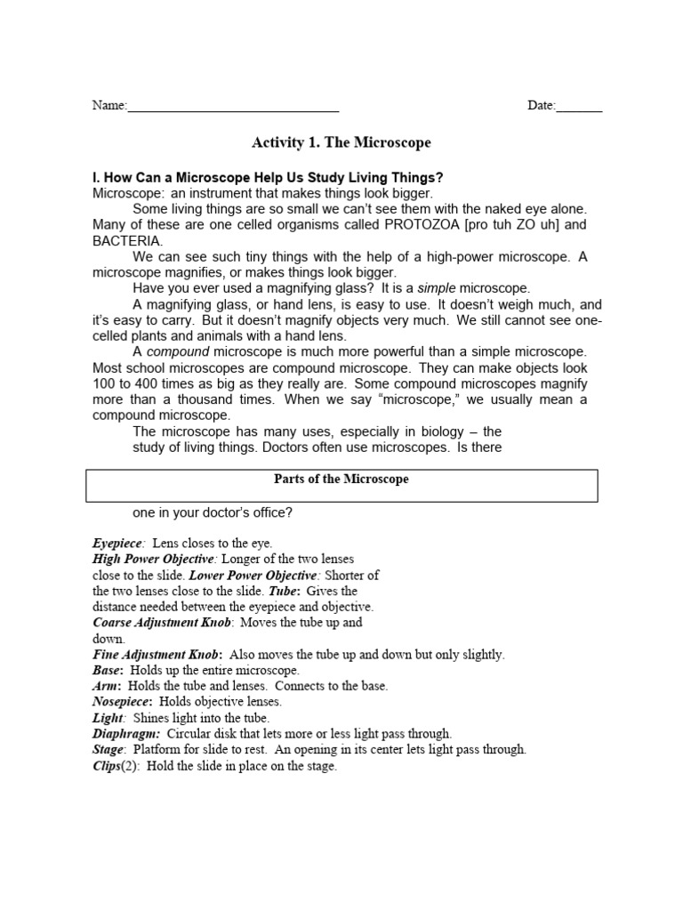 Activity-1-the-microscope | PDF | Microscope | Microscopy