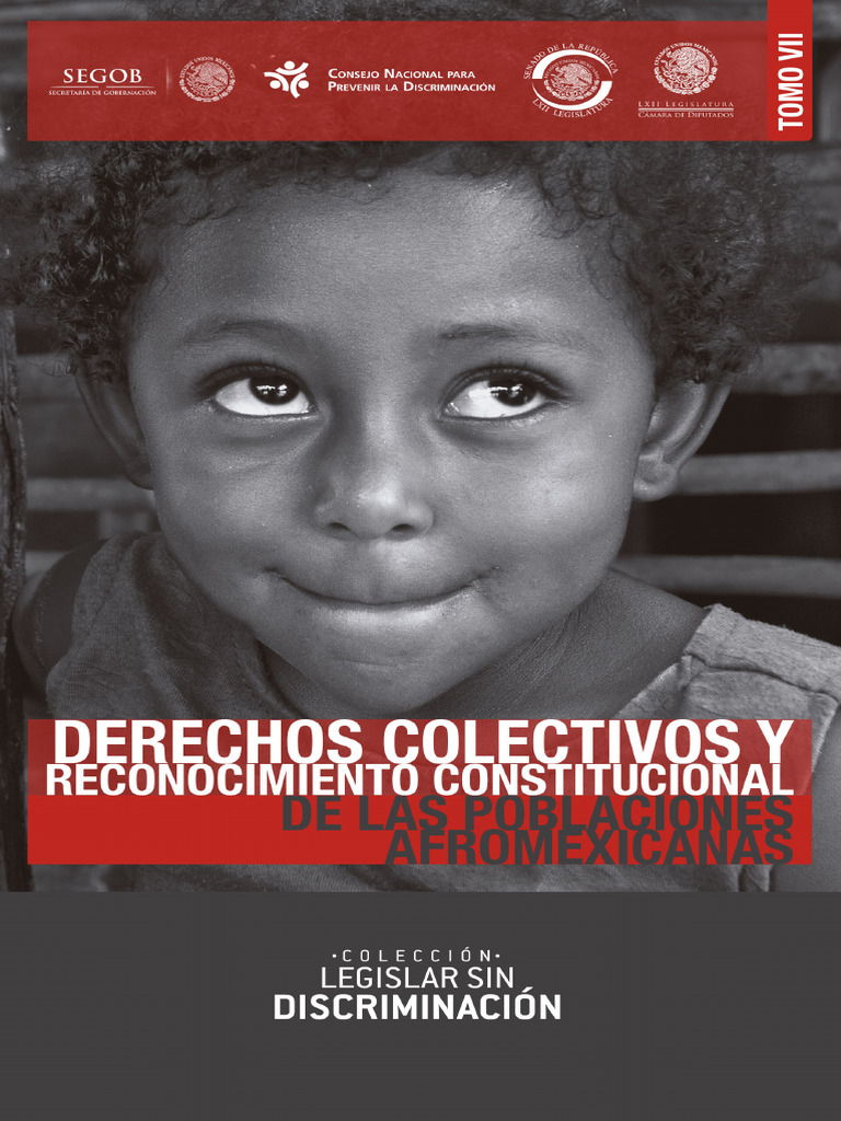 LSD VII Derechoscolectivosa INACCSS | PDF | Discriminación | Derechos humanos