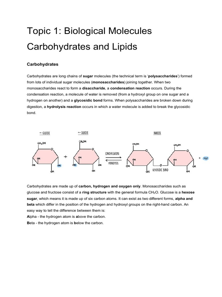 Topic 1 Carbohydrates and Lipids | PDF | Carbohydrates | Polysaccharide