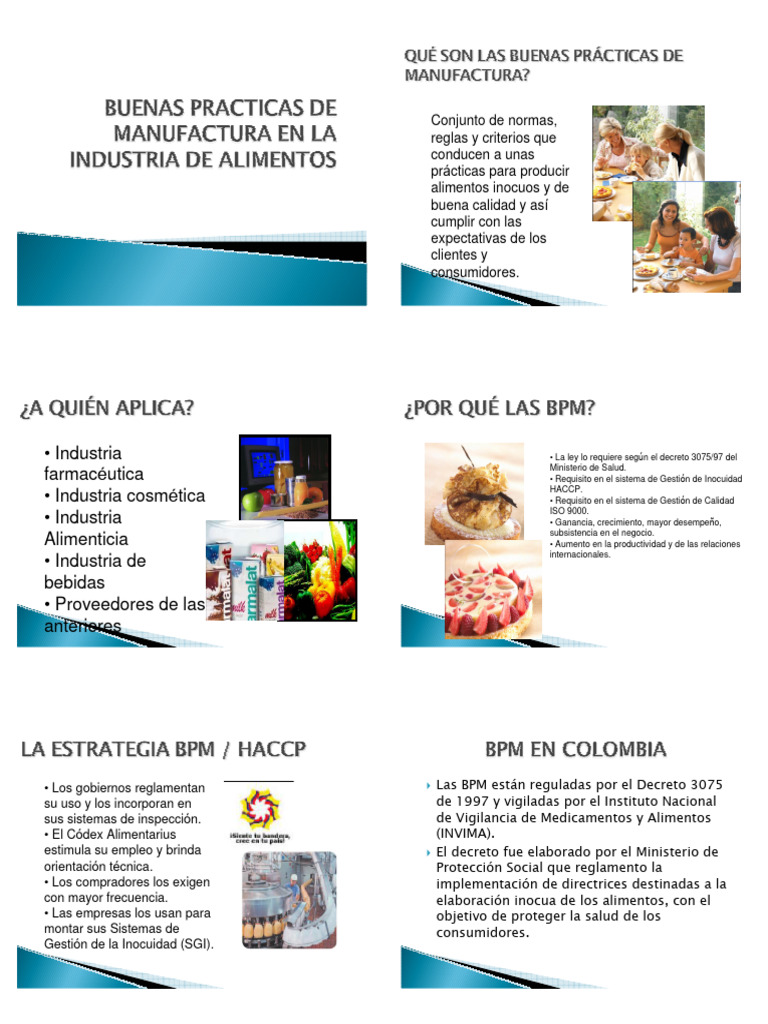 INTRODUCCION BPM | PDF | Alimentos