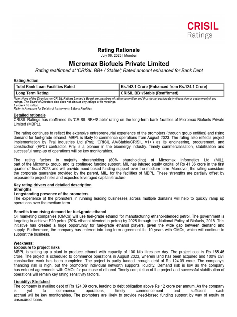 Micromax Biofuels PVT Ltd. | PDF | Damages | Debt