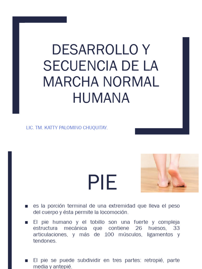 6 - Desarrollo y Secuencia de La Marcha Normal | PDF | Pie | Sistema ...