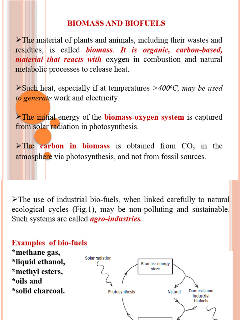 Lecture Biomass Biofuel 012129 | PDF | Biofuel | Alternative Fuel