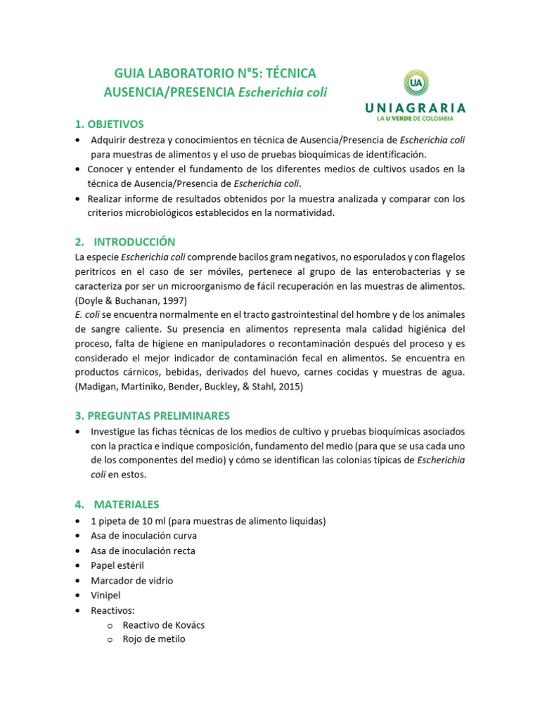 05. GUIA A-P E.coli | PDF | Escherichia coli | Microbiología
