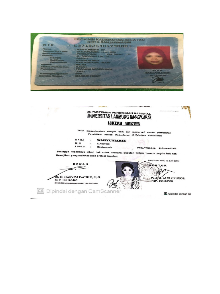 DATA SISDMK TAHUN 2024 DR Ayu | PDF