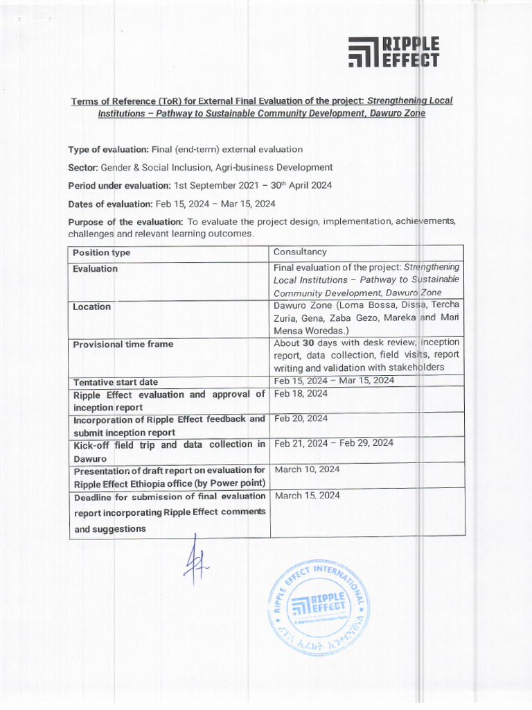 SLI External Evaluation | PDF