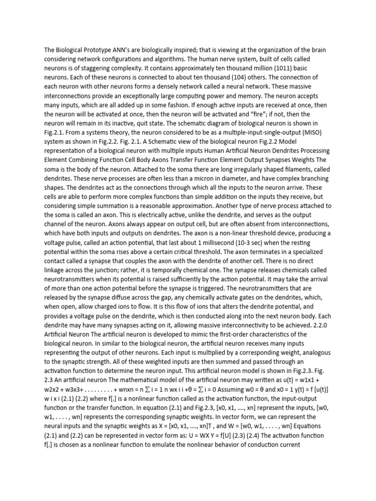 The Biological Prototype ANN | PDF | Neuron | Dendrite