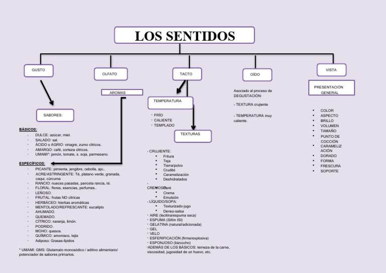 Mapa Conceptual de Los Sentidos | PDF | Umami | Cocinando