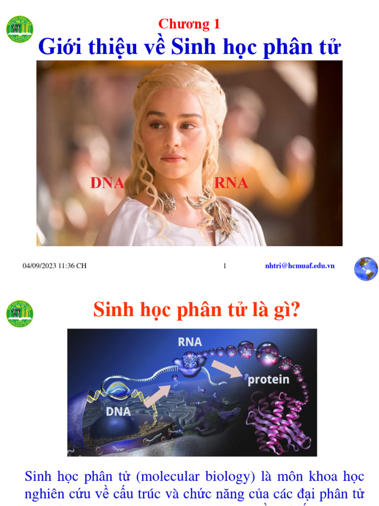 Chuong 1 Gioi Thieu Ve Sinh Hoc Phan Tu | PDF