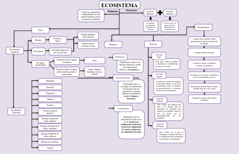 Mapa Conceptual Del Ecosistema | PDF | Ecosistema | Mar