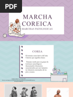 Linea de Feiss, Linea de Helbing | PDF | Pie | Anatomía humana