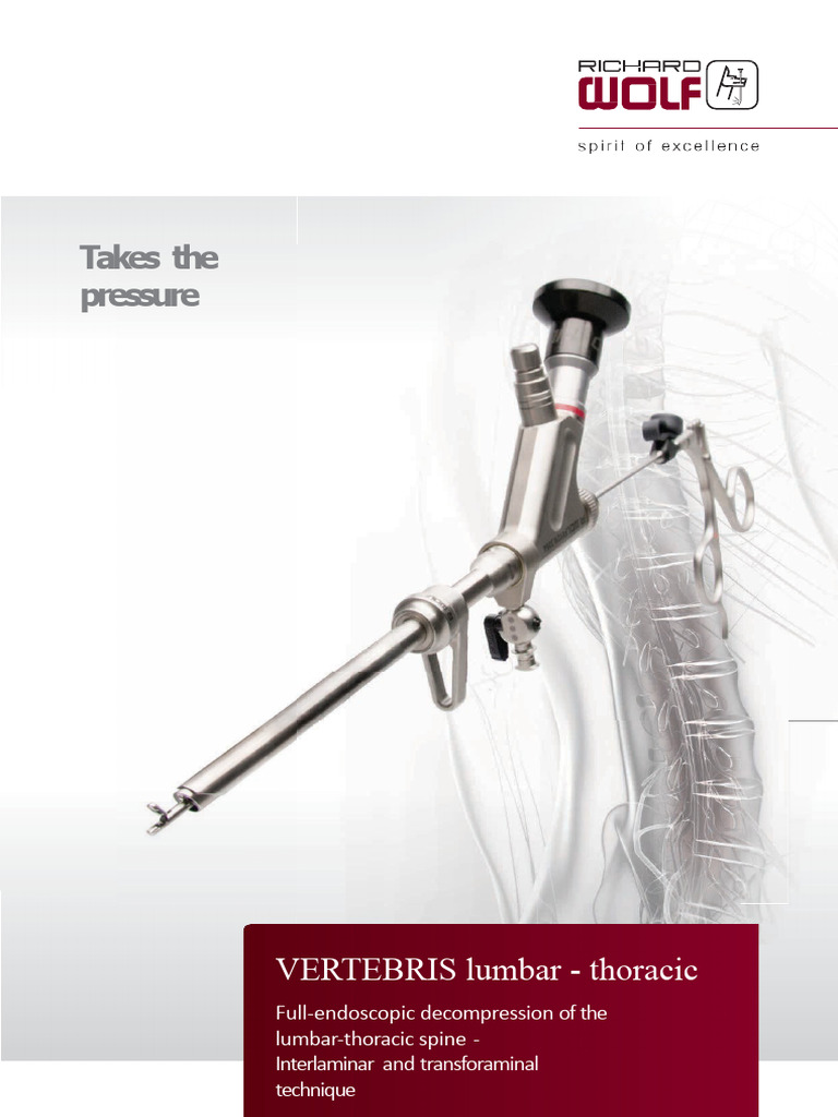 VERTEBRIS Lumbal-Thorakal IV16 en Web | PDF | Vertebra | Vertebral Column