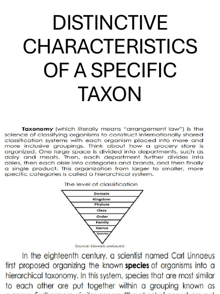 Distinctive Characteristics of A Specific Taxon | PDF