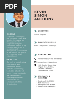 Emirates Cabin Crew CV Sample | PDF