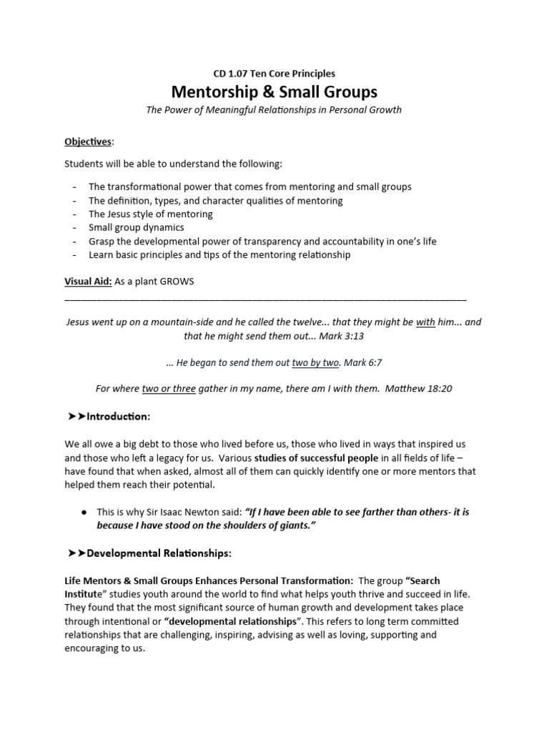 CD 07 Mentorship and Small Groups | PDF | Mentorship | Psychology