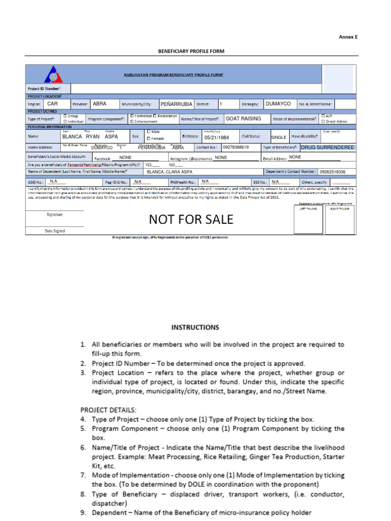 Beneficiary Profile - Annex E (English) EDITED | PDF