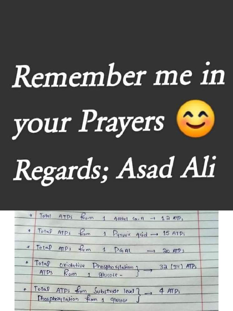 All Subject Imp Notes | PDF