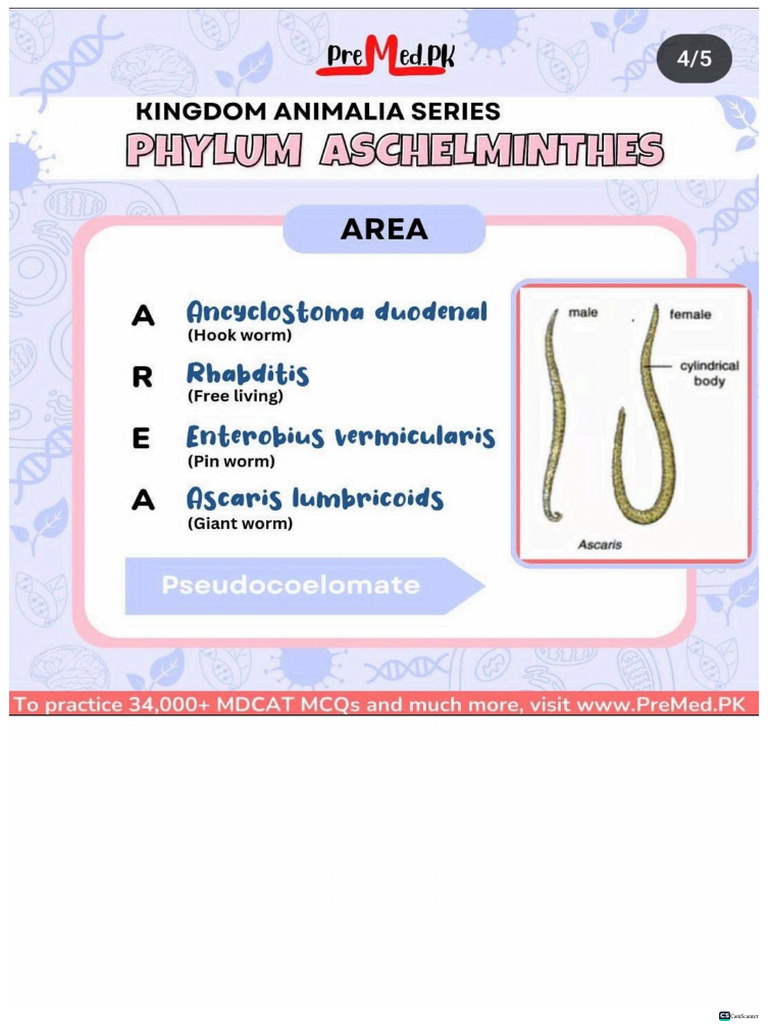 Biology Mnemonics For MDCAT Aspirants | PDF