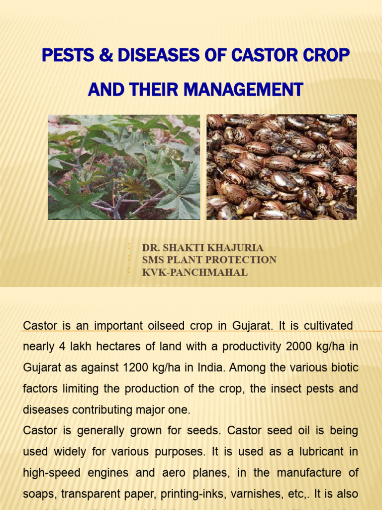 Castor Crop Pests and Diseases Management | PDF | Leaf | Pest (Organism)