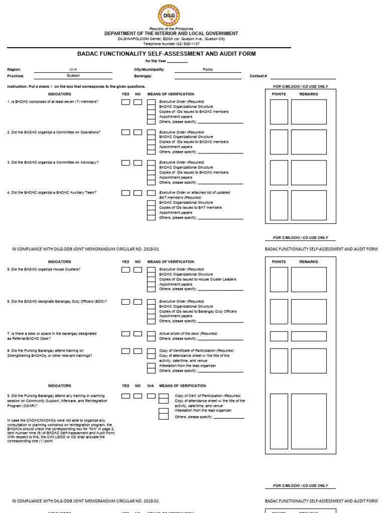 BADAC Functionality Form | Download Free PDF | Audit