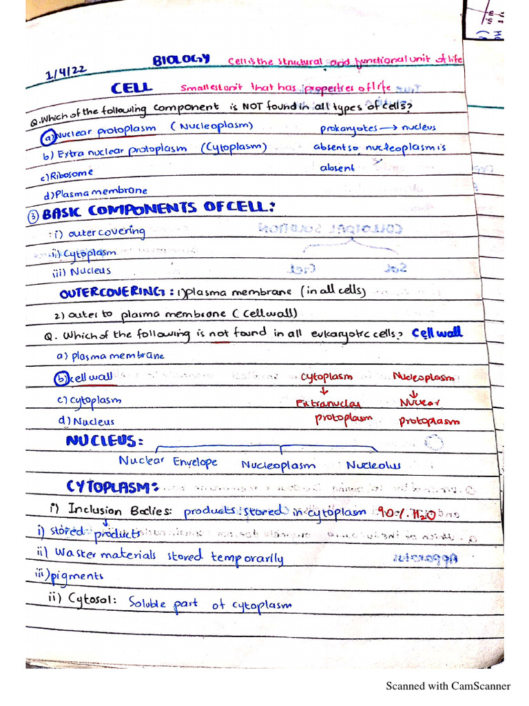Biology Handwritten Notes Part 1 | PDF