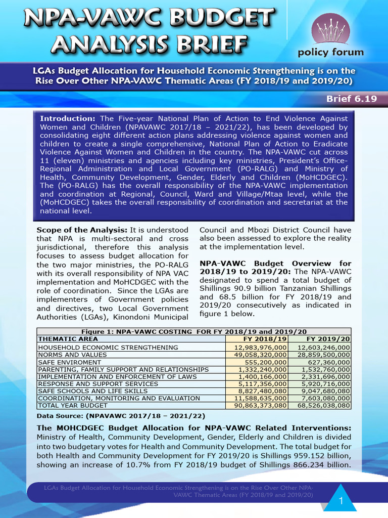 NPA - VAWC Budget Analysis Brief | PDF | Welfare | Budget