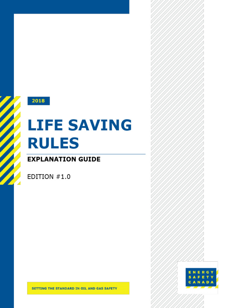 LSR Explanation Guide | PDF | Safety | Occupational Safety And Health