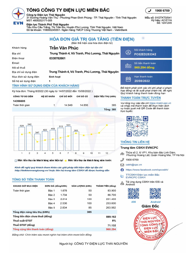 Vietnam Electronic Invoice 2 | PDF