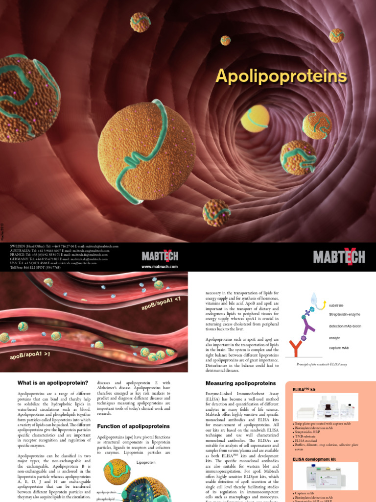 2013 Apolipoproteins Web | Download Free PDF | Lipoprotein | Low Density Lipoprotein