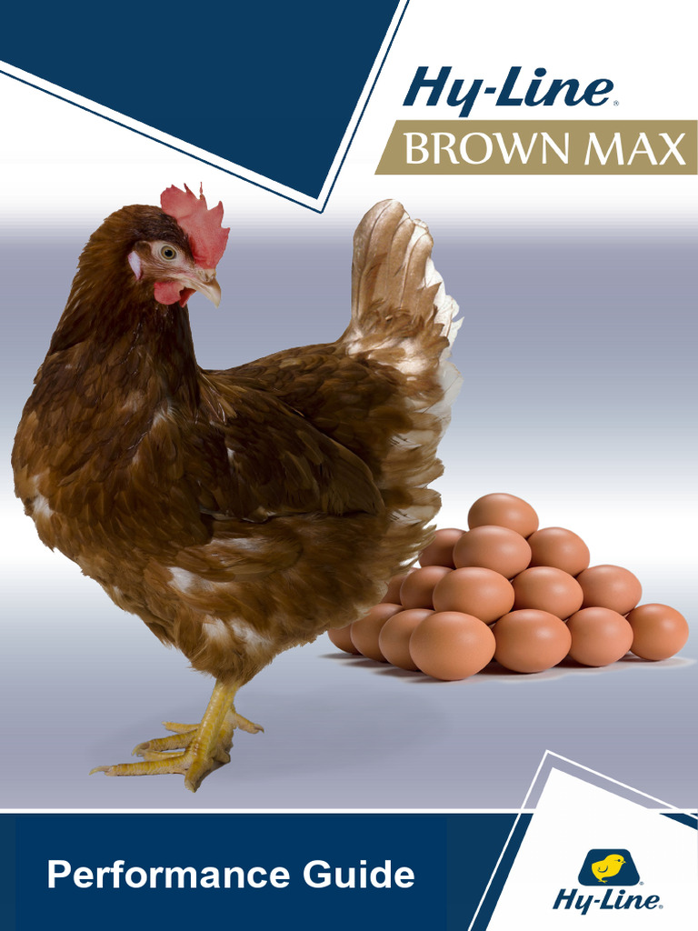 Hyline Brown Max | Download Free PDF | Nutrition | Diet & Nutrition