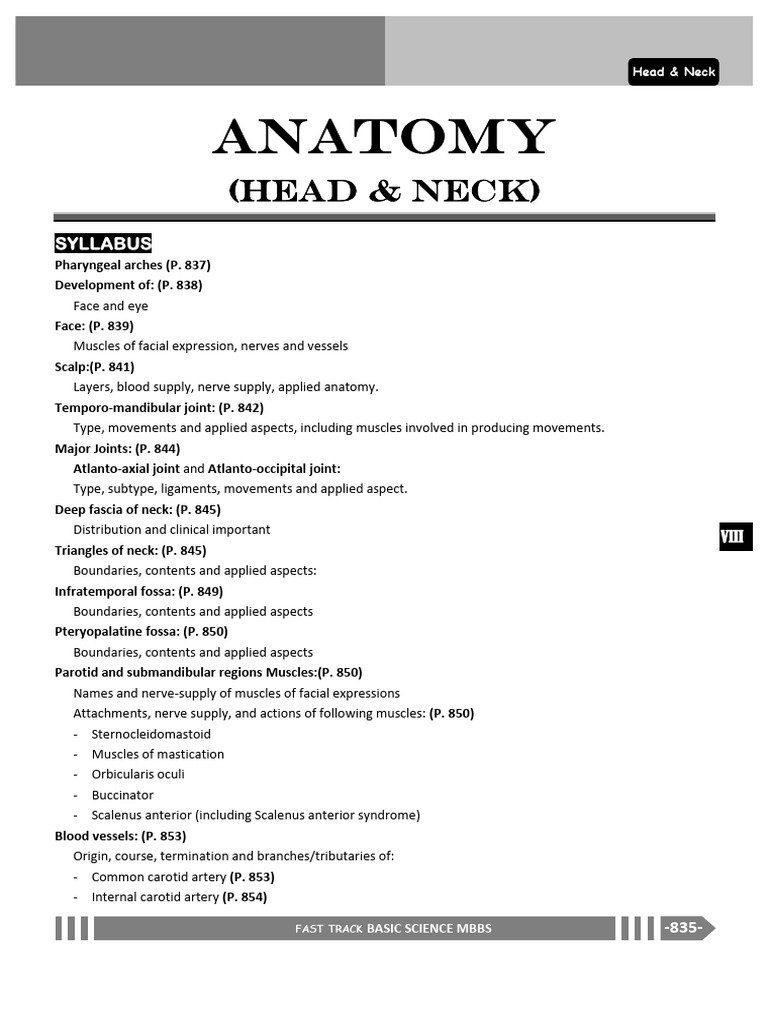Anatomy Head Neck Pdf Common Carotid Artery Neck