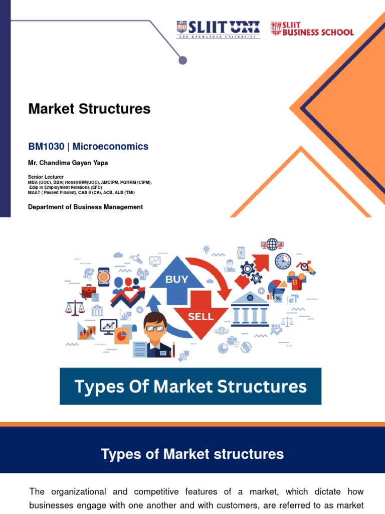 Microeconomics: Market Structures | PDF | Monopoly | Profit (Economics)