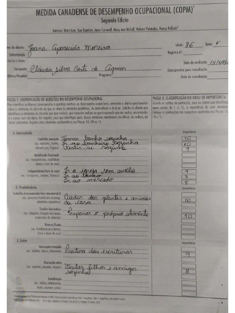 COPM | PDF