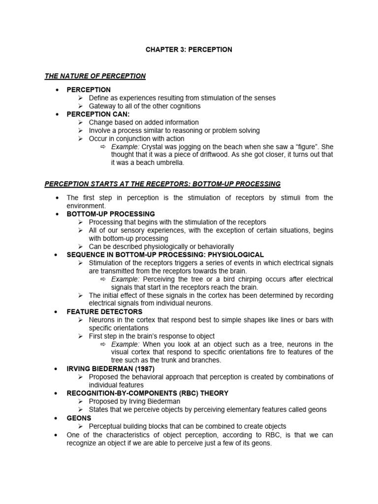 Chapter 3 - Perception 2.2 | PDF | Perception | Brain